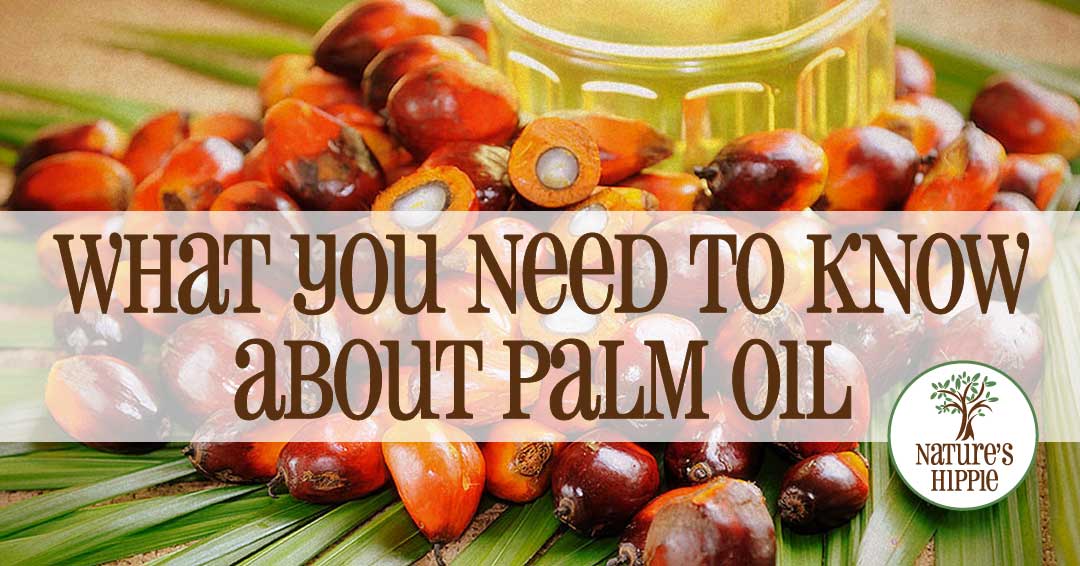What You Need to Know About Palm Oil | Nature's Hippie Skincare